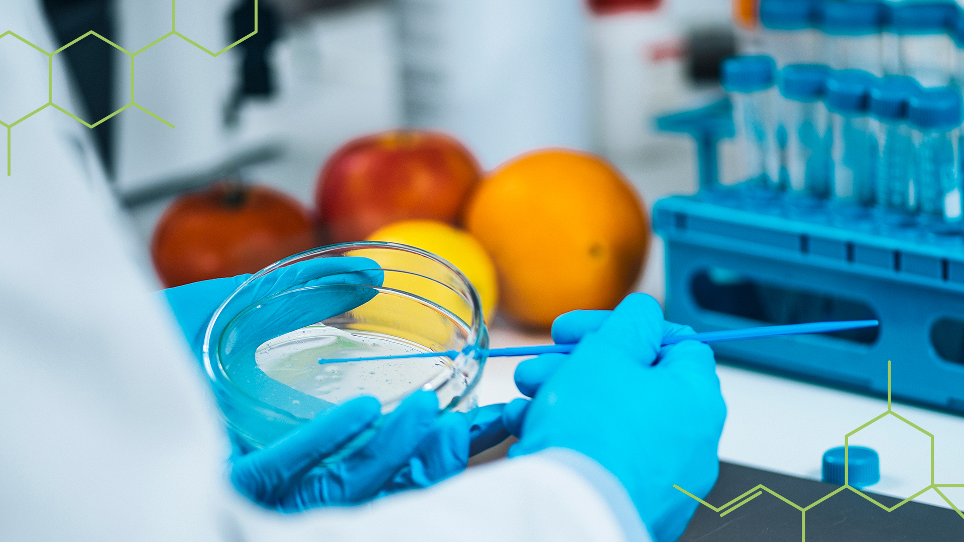 PADRÕES MICROBIOLÓGICOS - CETAL | Blog